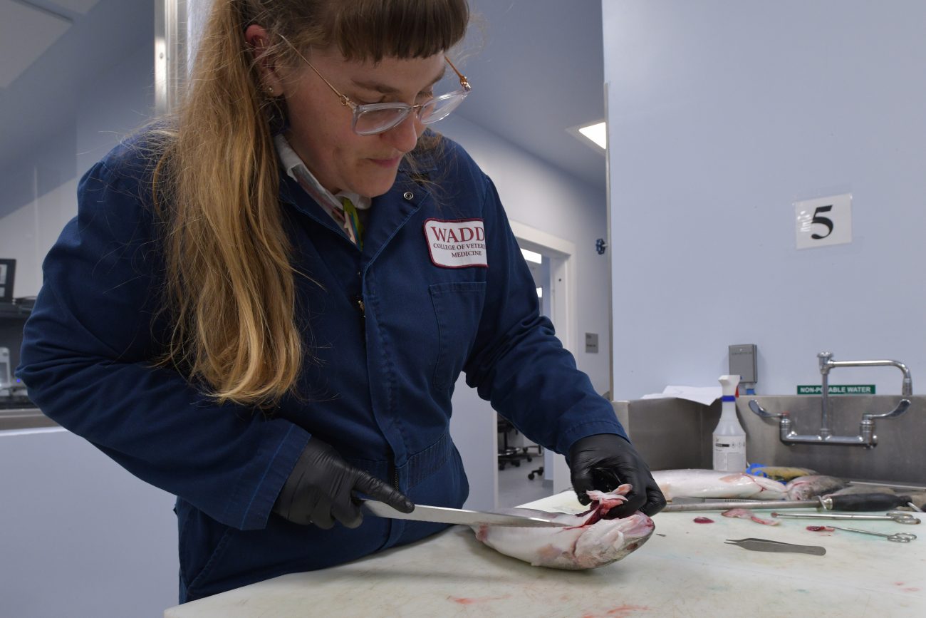 USTFA Member Spotlight: Washington Animal Disease Diagnostic Laboratory ...